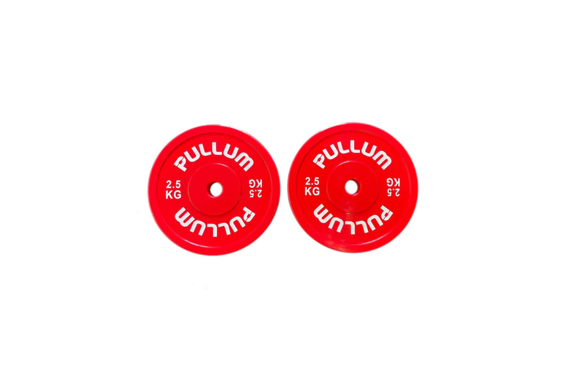 Pullum Branded 2.5kg Technique Disc Pair – Pullum Sports