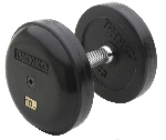 Ivanko Rubber Dumbbells (Rub/EPR) – Pullum Sports